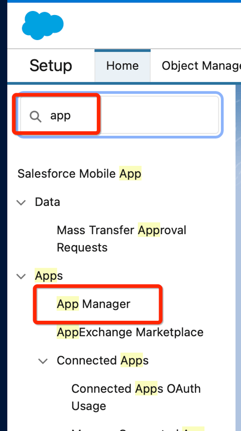 Salesforce connection setup